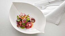 The world of dine dining tableware | BHS-Tabletop