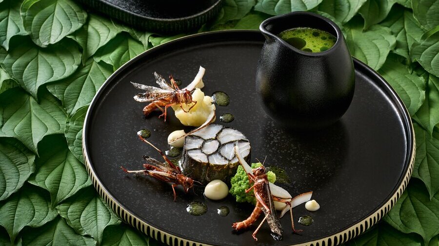 The tableware Company | BHS-Tabletop